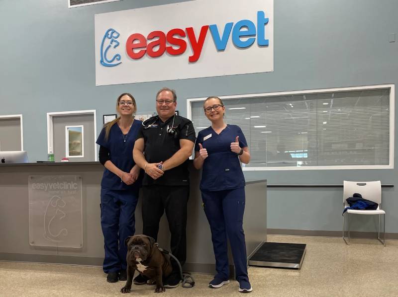 easyvet Estero | Veterinarian Estero, Cypress Lake, FL